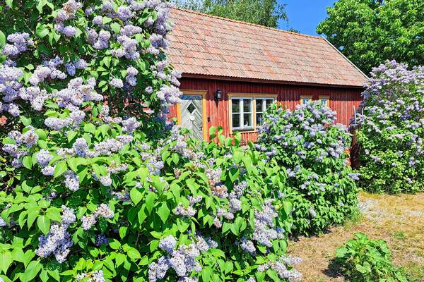 Gotlands Tofta, Gotland, Schweden, Ferienhaus 04884, 8 Personen